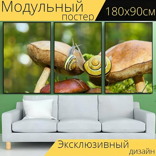 Модульный постер "Улитки, грибы, природа" 180 x 90 см. для интерьера