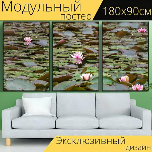 Модульный постер "Водяные лилии, цвести, пруд" 180 x 90 см. для интерьера