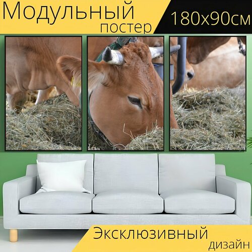 Модульный постер "Животное, корова, говядина" 180 x 90 см. для интерьера