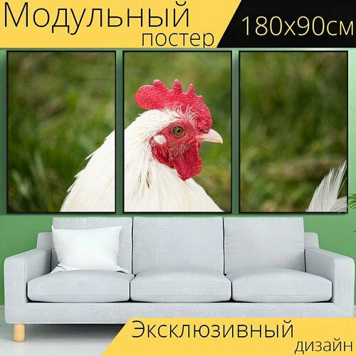 Модульный постер "Кран, курица, птица" 180 x 90 см. для интерьера