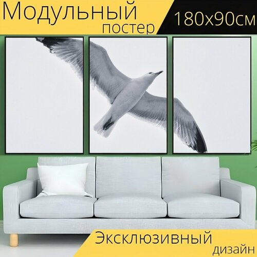Модульный постер "Чайка, птица, море" 180 x 90 см. для интерьера