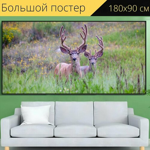Большой постер "Олень, рог, трава" 180 x 90 см. для интерьера