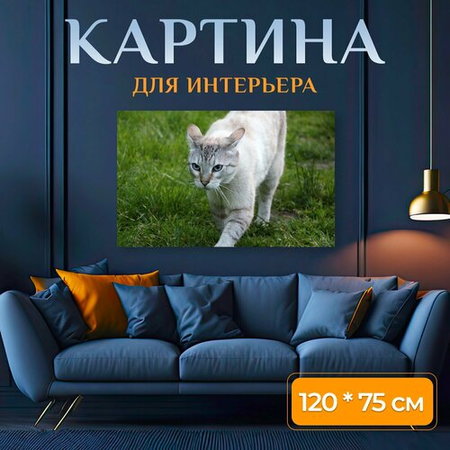 Картина на холсте "Кот, списки, охота" на подрамнике 120х75 см. для интерьера