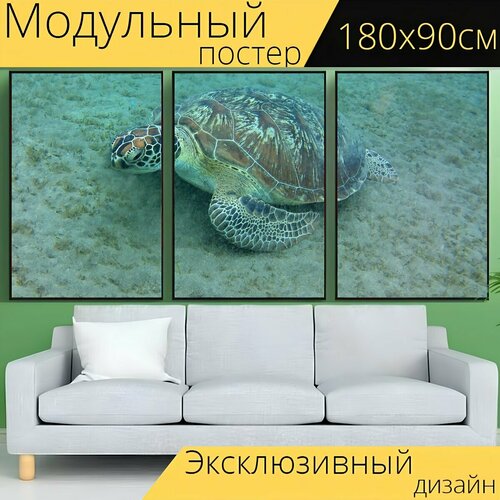 Модульный постер "Морская черепаха, воды черепаха, черепаха" 180 x 90 см. для интерьера