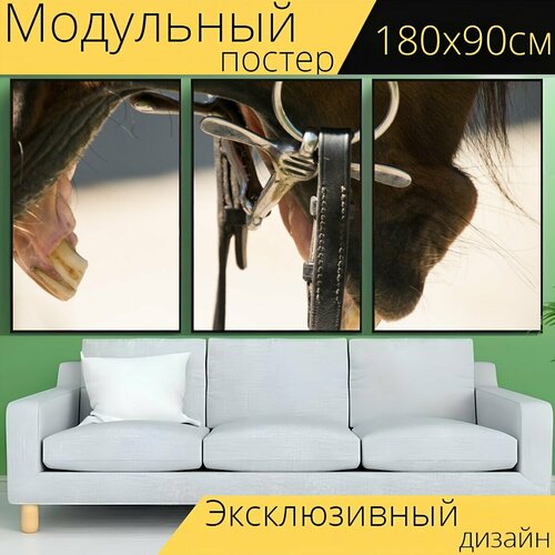 Модульный постер "Лошадь, зевота, рот" 180 x 90 см. для интерьера
