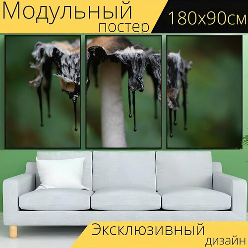 Модульный постер "Открытый, гриб, природа" 180 x 90 см. для интерьера