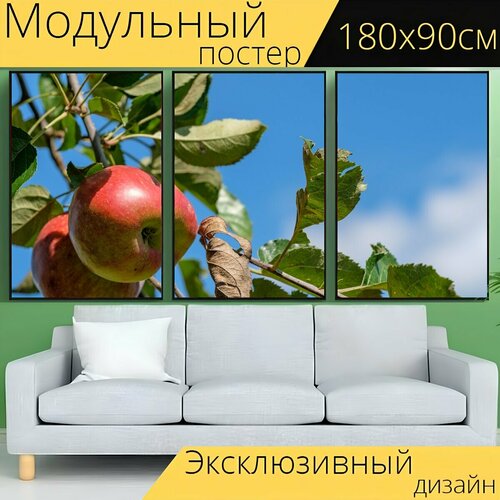 Модульный постер "Яблоко, фрукты, семечковые фрукты" 180 x 90 см. для интерьера