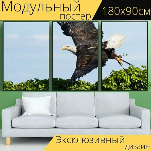 Модульный постер "Орел, птица, крылья" 180 x 90 см. для интерьера