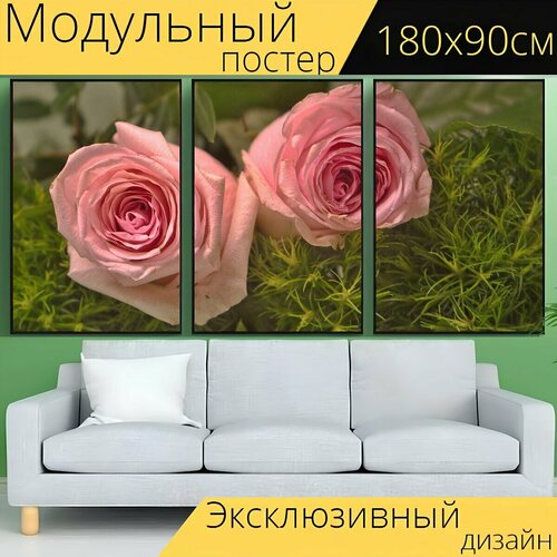 Модульный постер "Розы, цветы, пара" 180 x 90 см. для интерьера