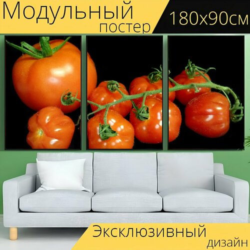 Модульный постер "Помидоры, свежий, овощи" 180 x 90 см. для интерьера