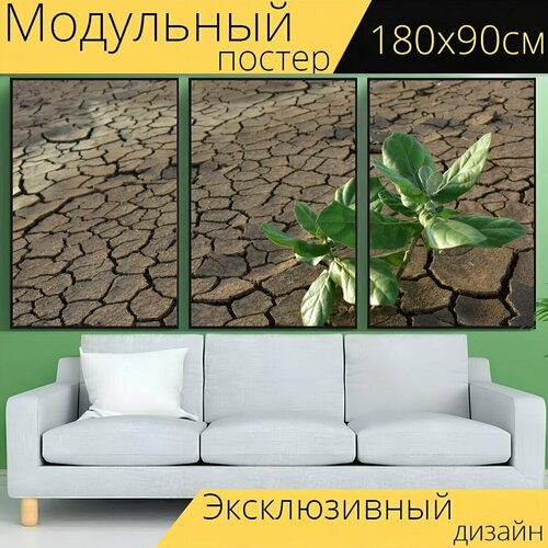 Модульный постер "Засуха, сухая грязь, зелёное растение" 180 x 90 см. для интерьера
