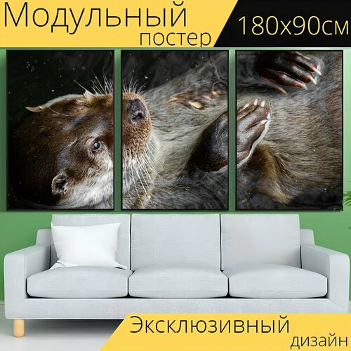 Модульный постер "Выдра, млекопитающее, животное" 180 x 90 см. для интерьера