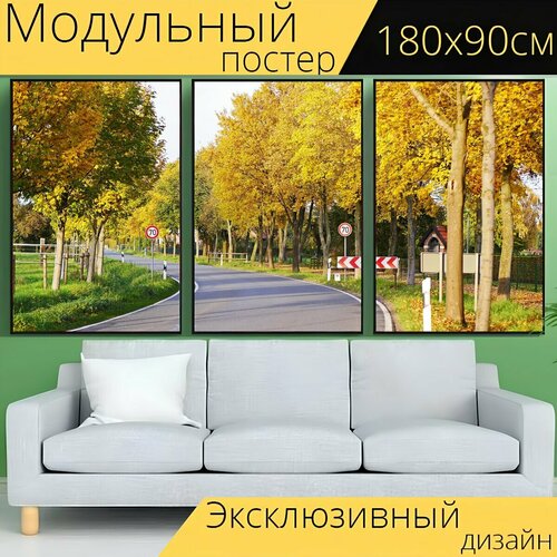 Модульный постер "Осенний хайвей, проспект, осенний цвет" 180 x 90 см. для интерьера