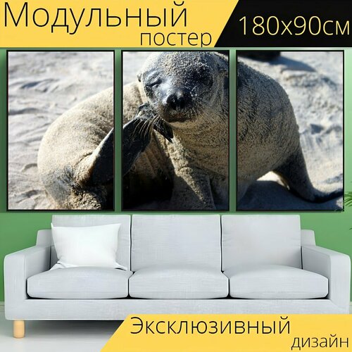 Модульный постер "Морской лев, животное, песок" 180 x 90 см. для интерьера