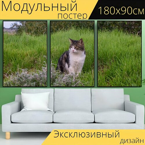 Модульный постер "Кошка, плутать, милый" 180 x 90 см. для интерьера