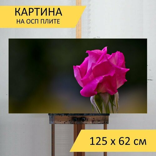 Картина на ОСП 125х62 см. "Роза, розовый, цветок" горизонтальная, для интерьера, с креплениями