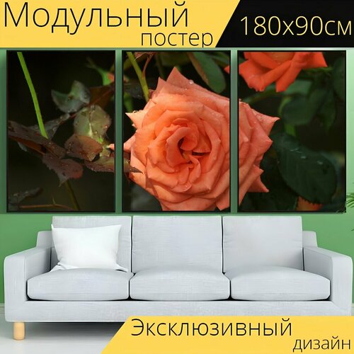 Модульный постер "Цветок, куст, розы" 180 x 90 см. для интерьера
