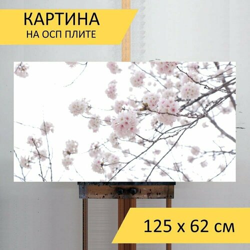 Картина на ОСП 125х62 см. "Цветок, вишни в цвету, весна" горизонтальная, для интерьера, с креплениями