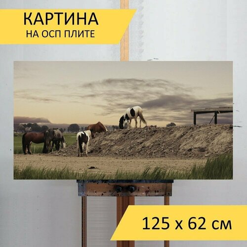 Картина на ОСП 125х62 см. "Лошади, стадо, луг" горизонтальная, для интерьера, с креплениями