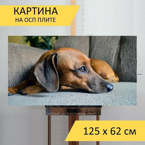 Картина на ОСП 125х62 см. "Собака, такса, щенок" горизонтальная, для интерьера, с креплениями