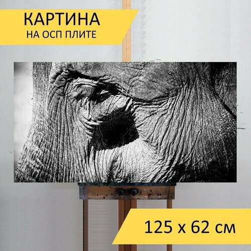 Картина на ОСП 125х62 см. "Слон, млекопитающее, толстокожий" горизонтальная, для интерьера, с креплениями