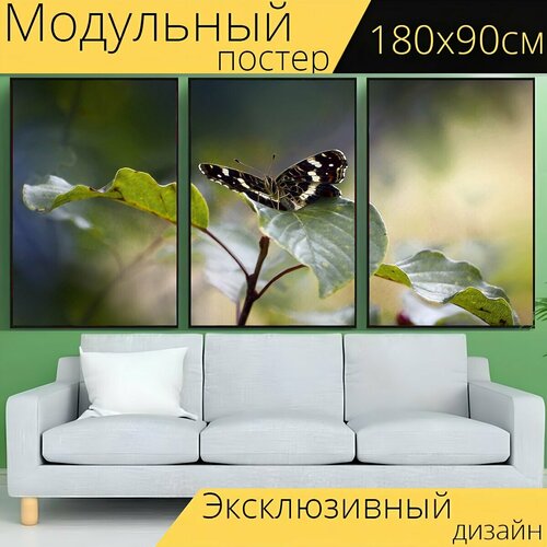 Модульный постер "Карта бабочка, бабочка, листья" 180 x 90 см. для интерьера