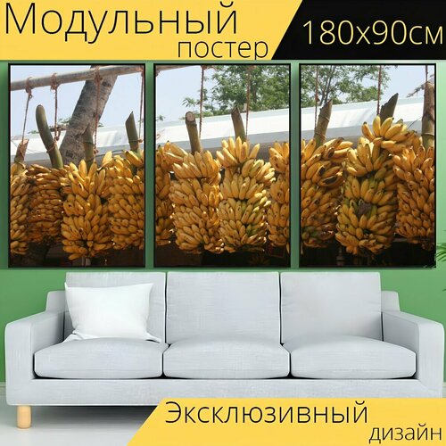 Модульный постер "Банан связка, индийские бананы, банан" 180 x 90 см. для интерьера