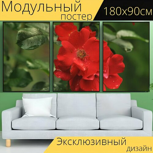 Модульный постер "Цветы, красные, любовь" 180 x 90 см. для интерьера