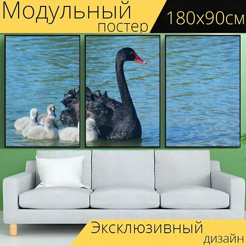 Модульный постер "Вода, лебедь, птица" 180 x 90 см. для интерьера
