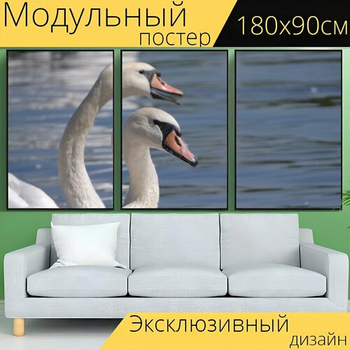 Модульный постер "Лебеди, птицы, пруд" 180 x 90 см. для интерьера