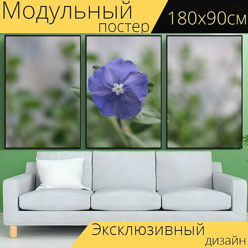 Модульный постер "Синий морок, цветок, цветов ту" 180 x 90 см. для интерьера