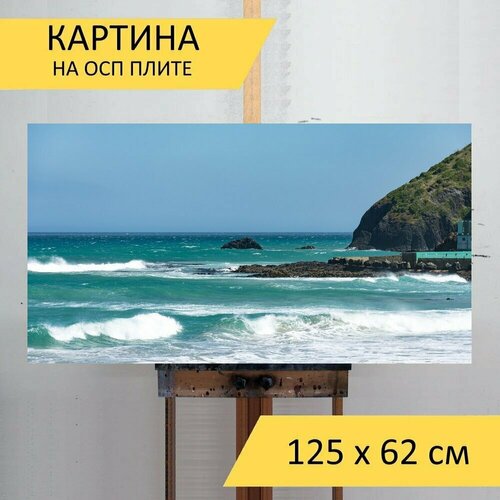 Картина на ОСП 125х62 см. "Ул, пляж клер, данидин" горизонтальная, для интерьера, с креплениями