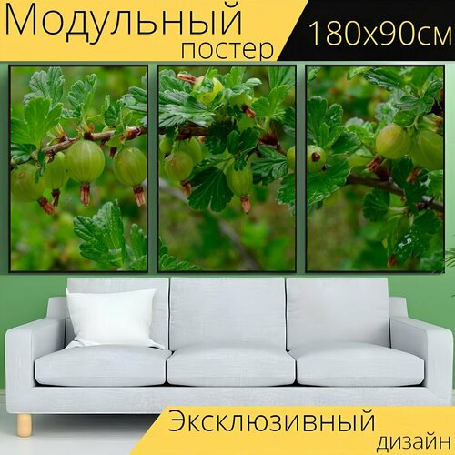 Модульный постер "Сад, крыжовник, фрукты" 180 x 90 см. для интерьера