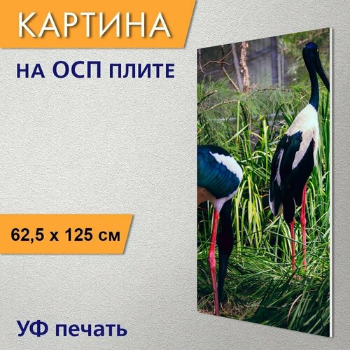 Вертикальная картина на ОСП "Зоопарк, птица, животное" 62x125 см. для интерьериа
