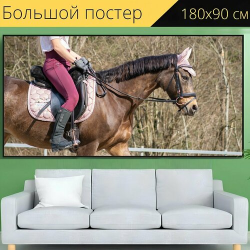 Большой постер "Верховая езда, лошадь, женщина" 180 x 90 см. для интерьера