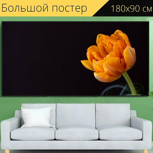 Большой постер "Тюльпан, цветок, заполненный" 180 x 90 см. для интерьера