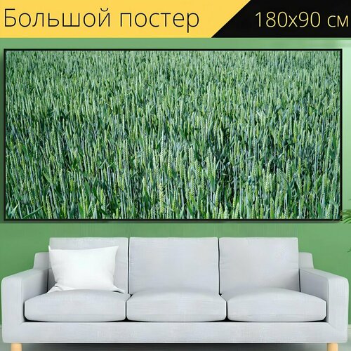 Большой постер "Зерно, поле, сельское хозяйство" 180 x 90 см. для интерьера