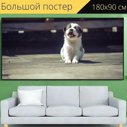 Большой постер "Собака, домашний питомец, щенок" 180 x 90 см. для интерьера