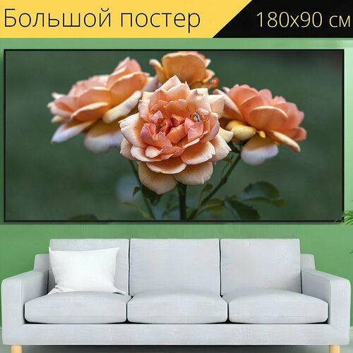 Большой постер "Розы, сад, цветок" 180 x 90 см. для интерьера