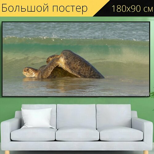 Большой постер "Черепахи, вязка, море" 180 x 90 см. для интерьера