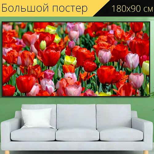 Большой постер "Тюльпаны, цветы, поле" 180 x 90 см. для интерьера
