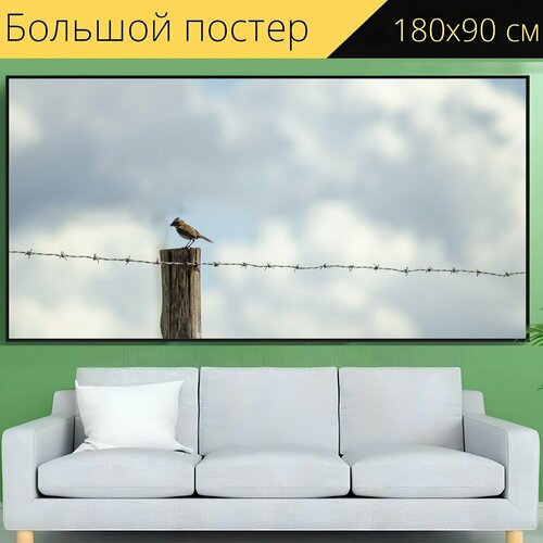 Большой постер "Воробей, птица, изгородь" 180 x 90 см. для интерьера