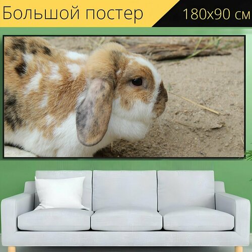 Большой постер "Кролик, пасхальный, кролики" 180 x 90 см. для интерьера