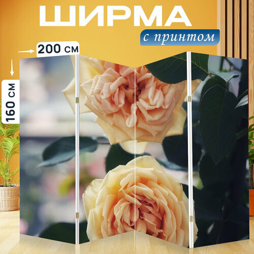Ширма перегородка с принтом "Макрос, цветок, роза" на холсте - 200x160 см. для зонирования, раскладная