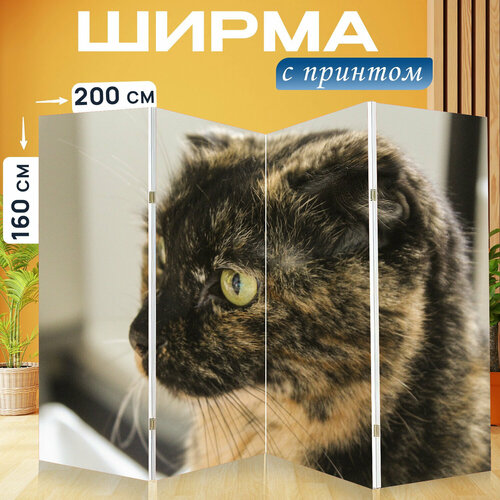 Ширма перегородка с принтом "Кошка, кот, тигр" на холсте - 200x160 см. для зонирования, раскладная