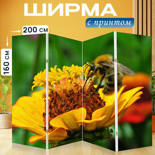 Ширма перегородка с принтом "Цветок, шмель, насекомое" на холсте - 200x160 см. для зонирования, раскладная