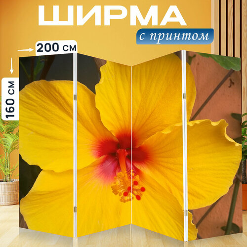 Ширма перегородка с принтом "Площадка, желтый, цветок" на холсте - 200x160 см. для зонирования, раскладная