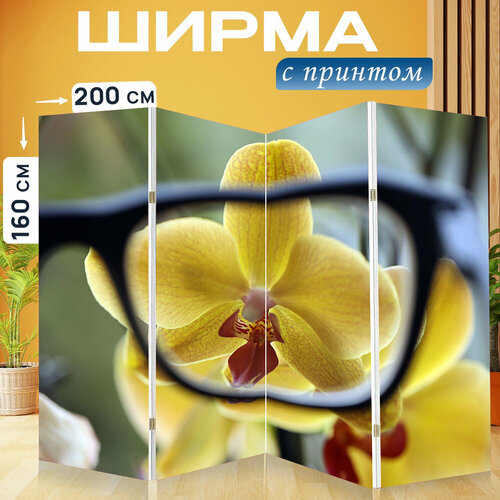 Ширма перегородка с принтом "Очки, цветок, орхидея" на холсте - 200x160 см. для зонирования, раскладная