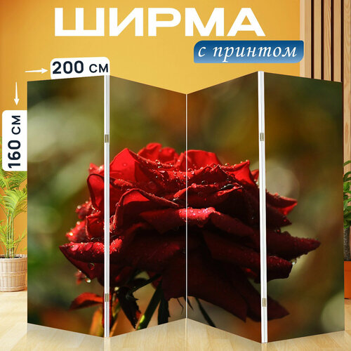 Ширма перегородка с принтом "Роза, красный, бордовый" на холсте - 200x160 см. для зонирования, раскладная