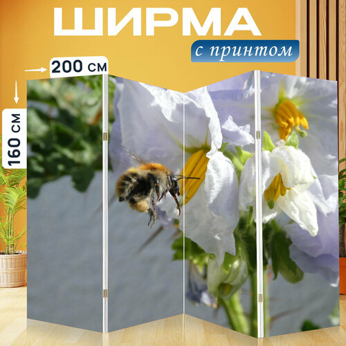 Ширма перегородка с принтом "Пчела, шмель, цвести" на холсте - 200x160 см. для зонирования, раскладная